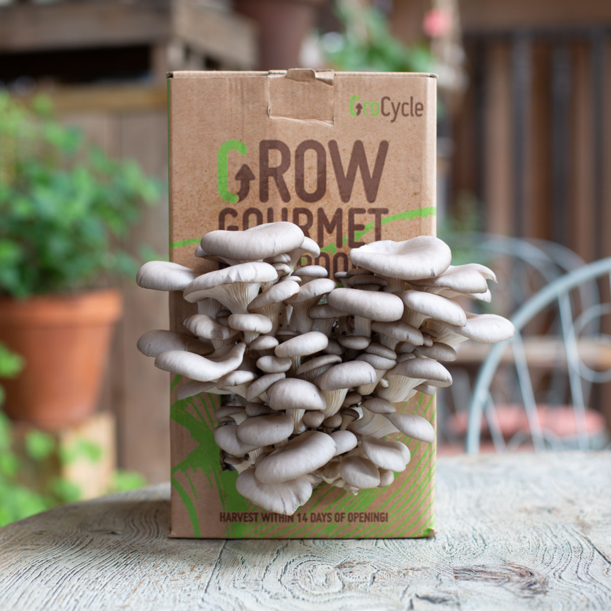 Grow Your Own Logo