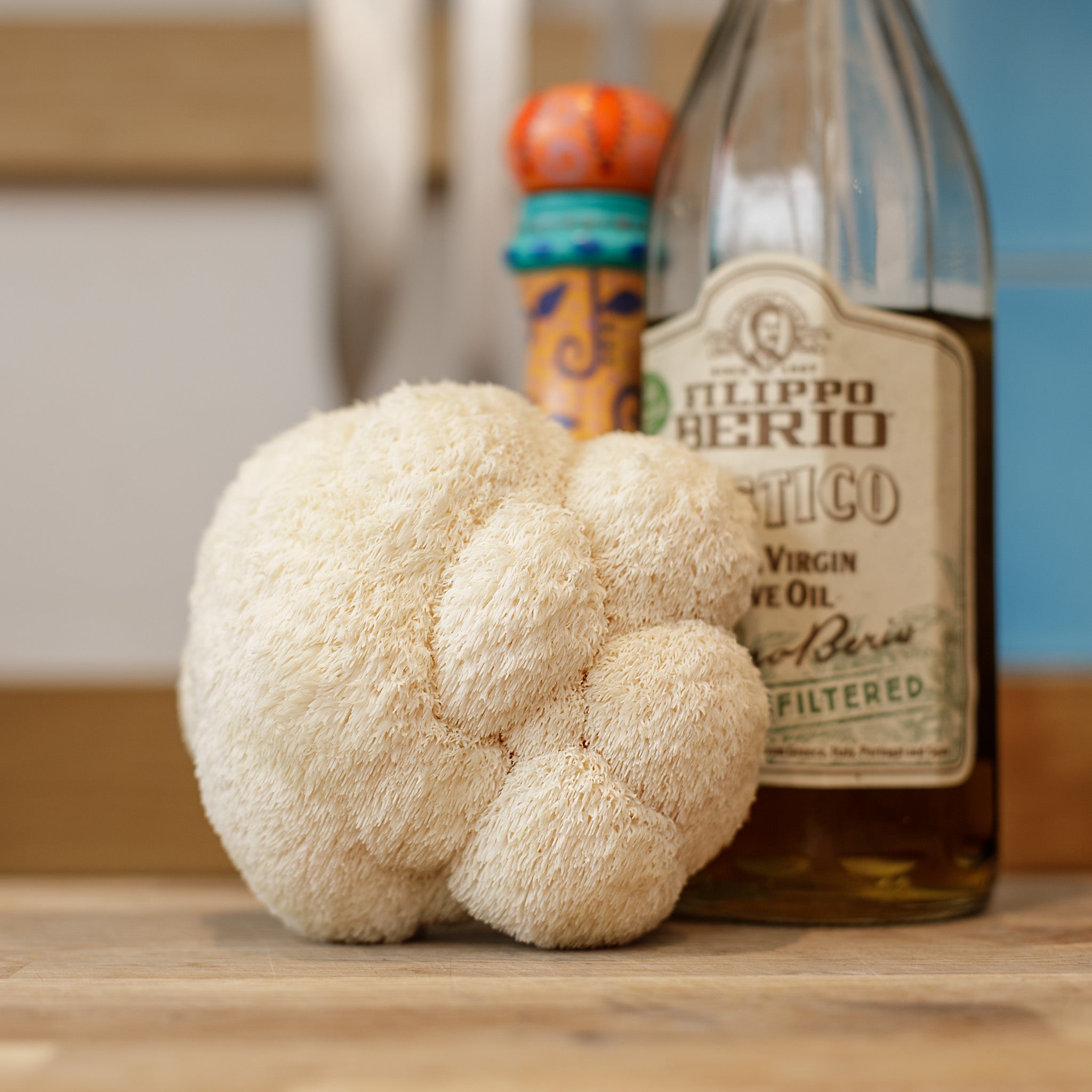 GroCycle Lion's Mane Mushroom Grow Kit